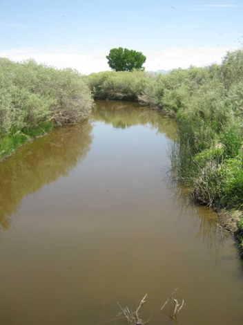 Lahontan Regional Board - Water Quality Dashboard